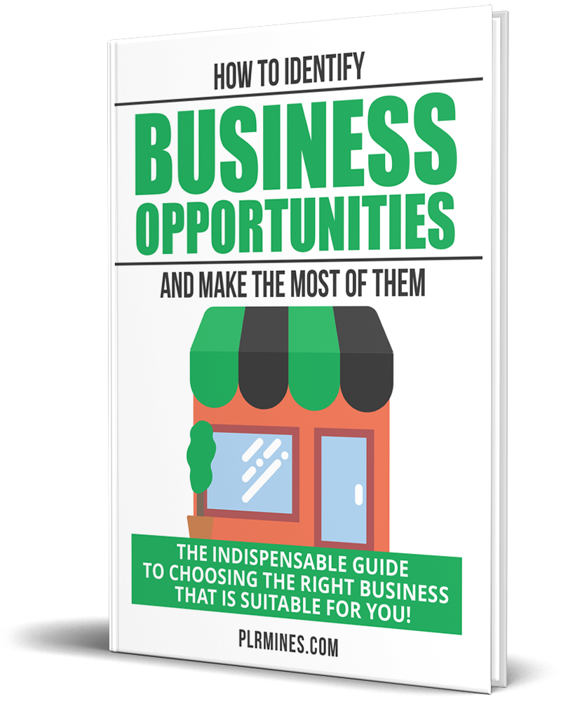 How to Identify Business Opportunities and Make the Most of Them